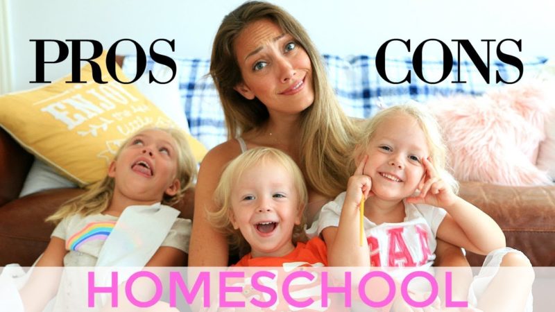 Pro and Cons Of Homeschooling – Advantages and Disadvantages Of Being ...