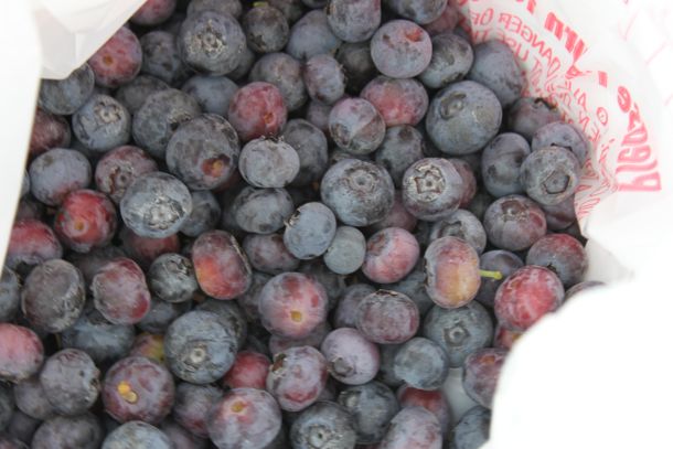 Family Time – Blueberry Picking - Moms Austin