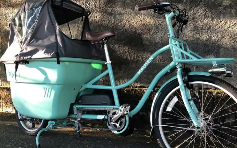 Madsen Bike Review - Moms Austin