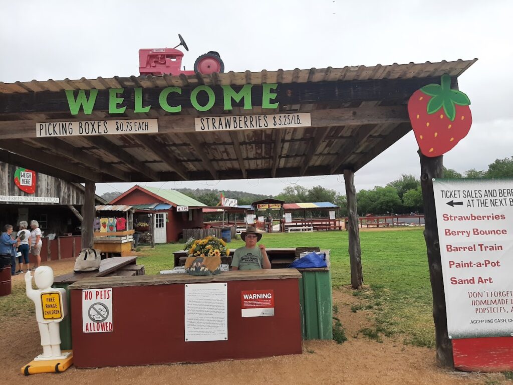 Sweet Berry Farms - Moms Austin