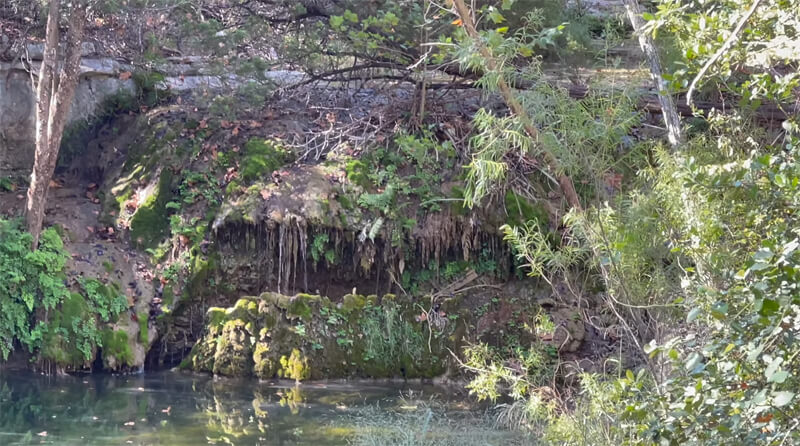 Wild Basin Wilderness Preserve - Moms Austin