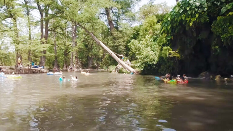 Krause Springs - Swimming Hole in Spicewood - Moms Austin