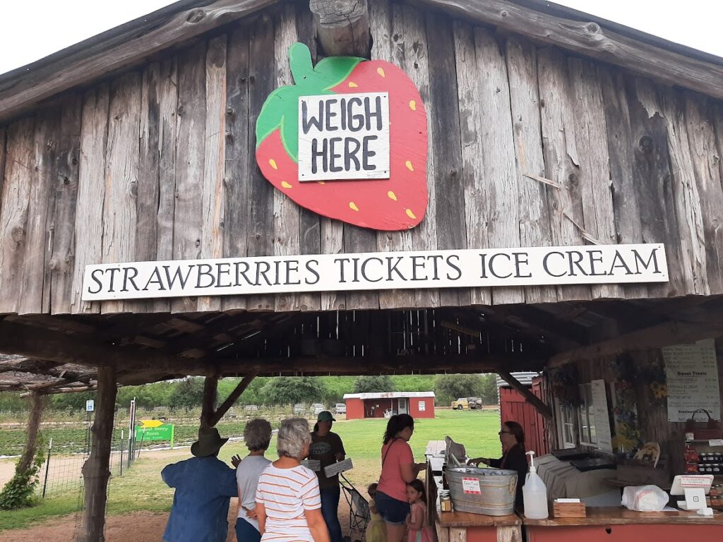 Sweet Berry Farms - Moms Austin