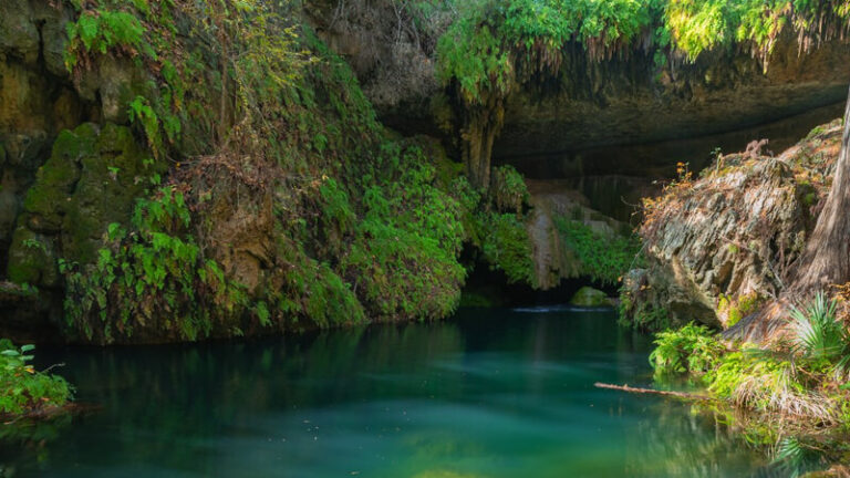 Exploring Westcave Preserve - Moms Austin