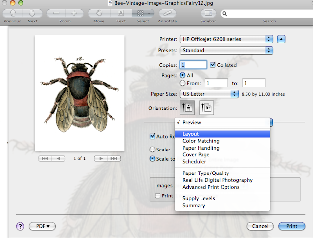 10 Easy Steps to A Freezer Paper Transfer {Tutorial} - Moms Austin